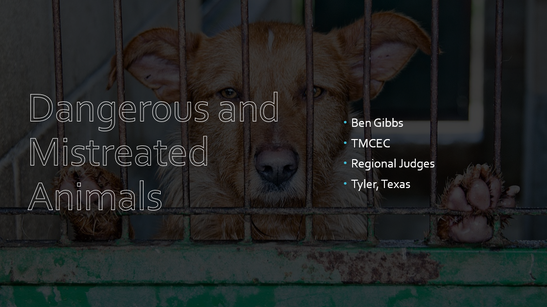 AY23 Highlight: Dangerous and Mistreated Animals – Full Court Press